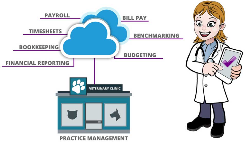 JF Bell Group | Business Consulting Services for Veterinarians